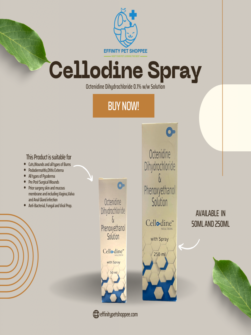Cellodine Spray 250Ml on Effinity Pet Shoppe