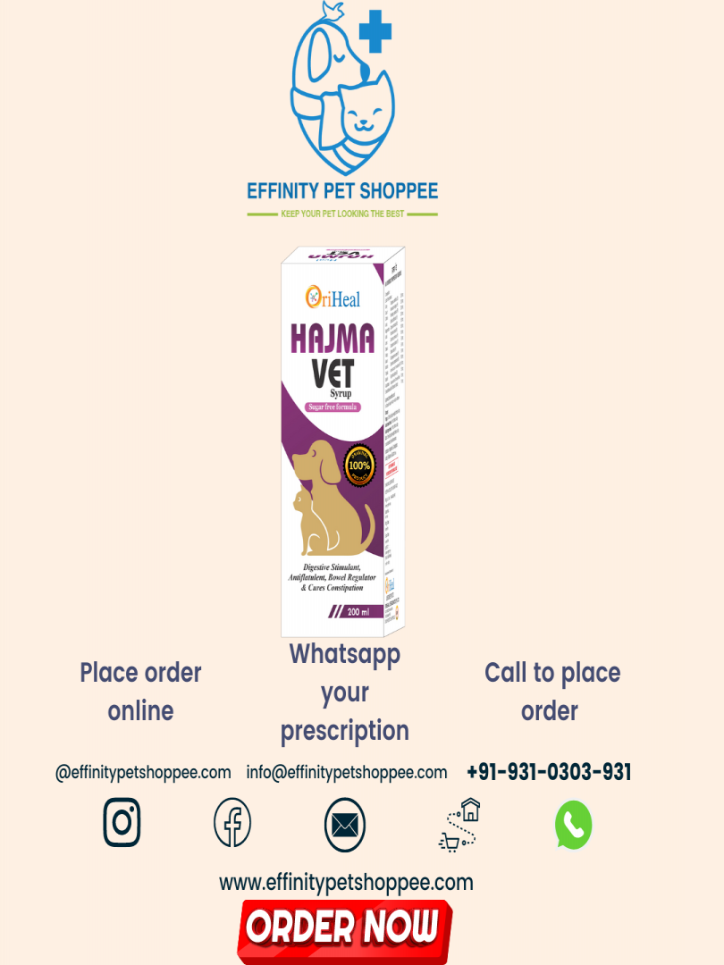 HAJMA VET SYRUP 200ML on Effinity Pet Shoppe