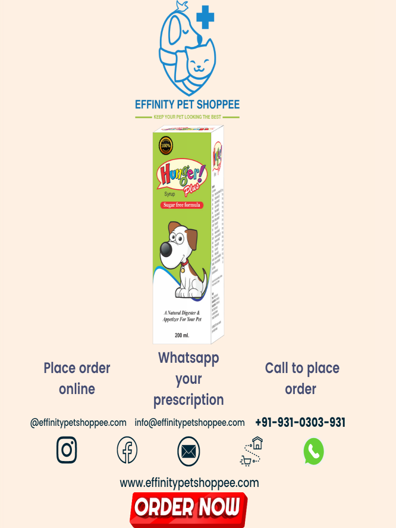 HUNGER PLUS SYRUP 200ML on Effinity Pet Shoppe HUNGER PLUS SYRUP 200ML on Effinity Pet Shoppe