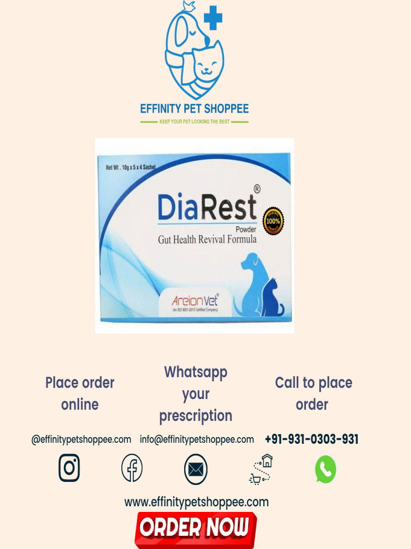 DIAREST POWDER 4 SACHETS on Effinity Pet Shoppe