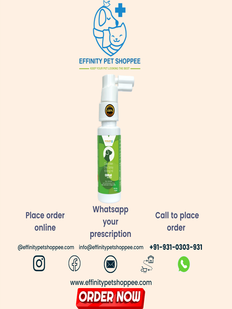 CARTAIL ORAL SPRAY ( CARPROFEN ) 15ml on Effinity Pet Shoppe
