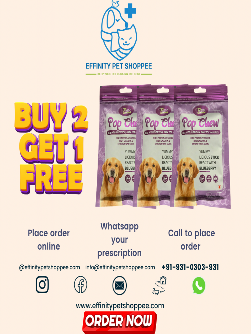 POP CHEW BLUEBERRY TREAT BUY 2 GET 1 FREE on Effinity Pet Shoppe