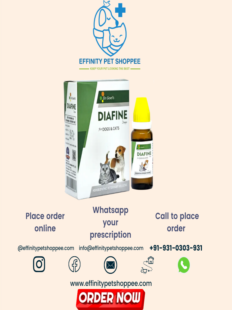 DIAFINE 20ML Diarrhoea and PARVO on Effinity Pet Shoppe